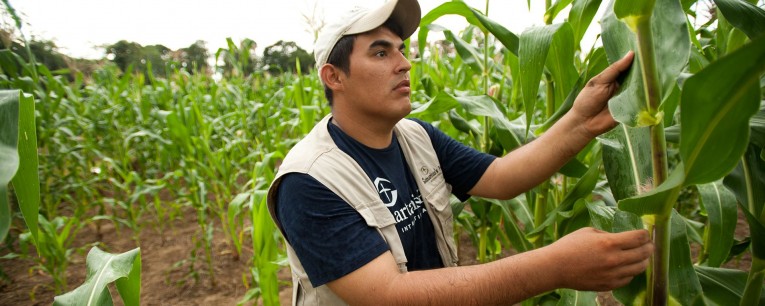 Samaritan’s Purse: Animals, Agriculture & Livelihoods