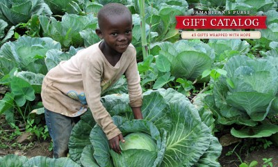 Cabbage Plants Empower a Village