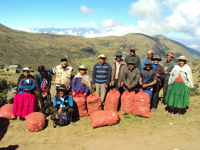 Seed Potato Projects Are Yielding A Gospel Harvest Among Bolivian Farmers