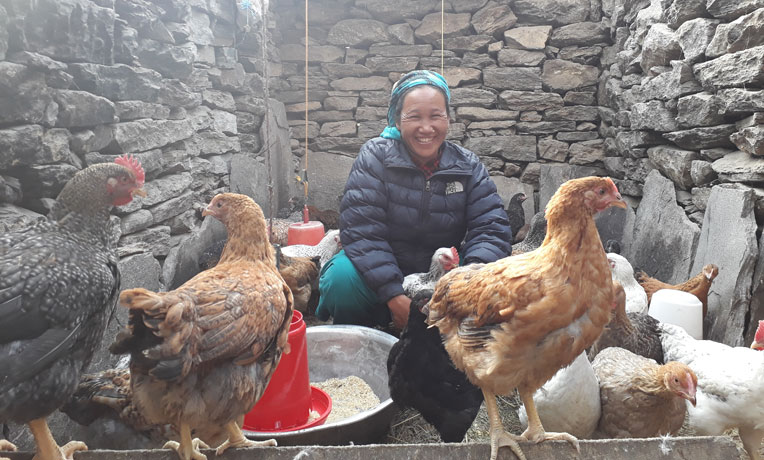 Earthquake Survivor Supports Family by Raising Chickens