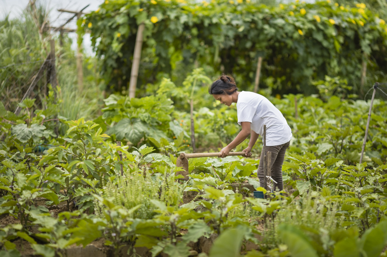 Livelihoods Training Lifts Filipino Families Out of Poverty
