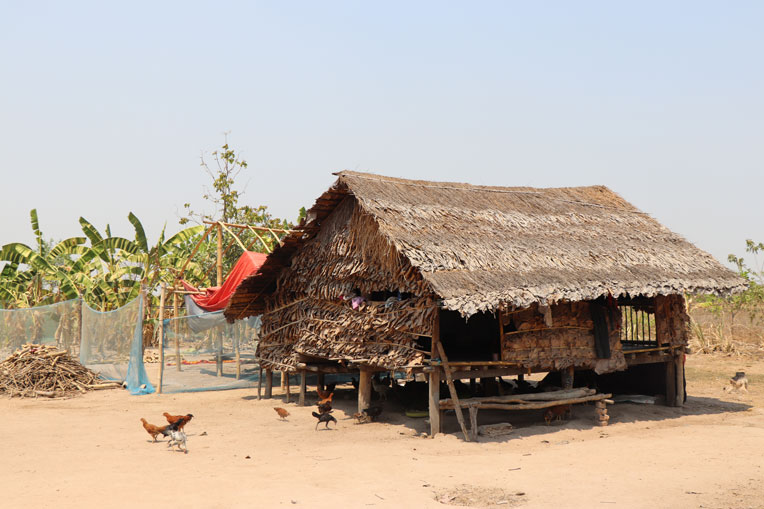 Myanmar: Victim of Labor Trafficking Finds Victory in Chicken Farming