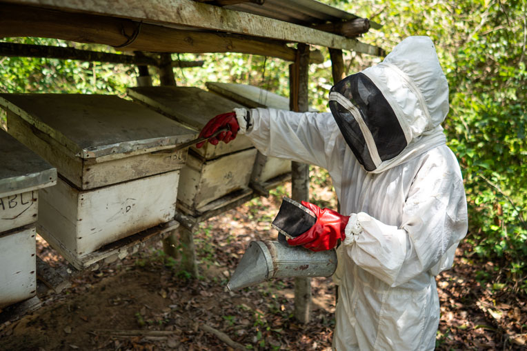Beekeeping Project Lifts Families in Kenya Out of Poverty