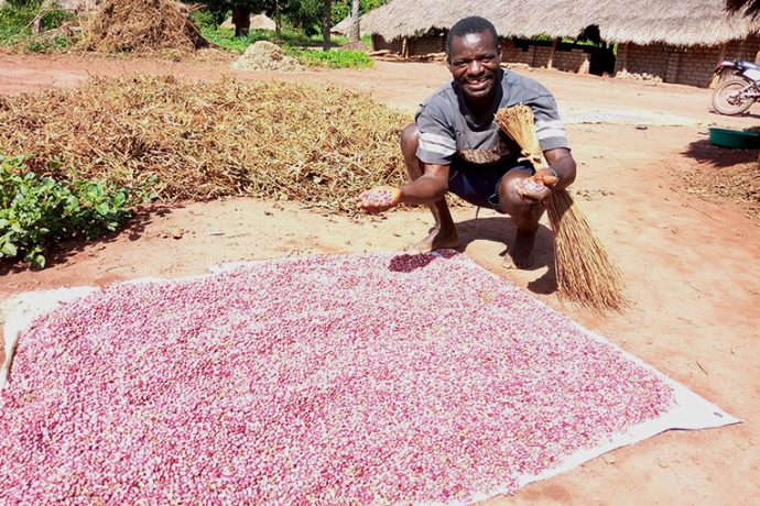 Lives Transformed in DRC’s Dungu Territory