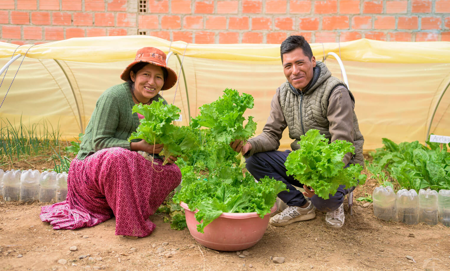 Una cosecha abundante en Bolivia