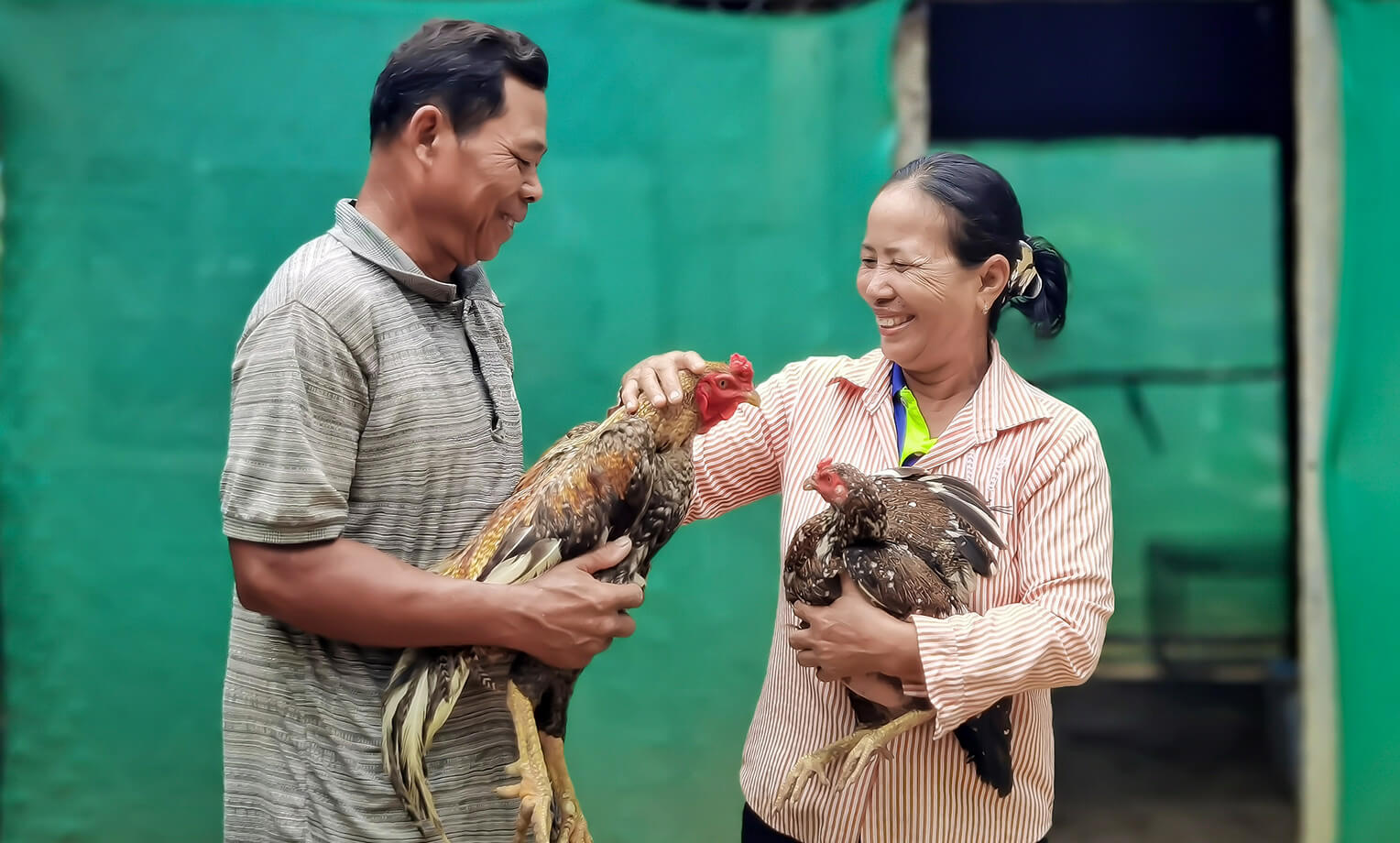 Cambodians Get the Scoop on Raising Chickens