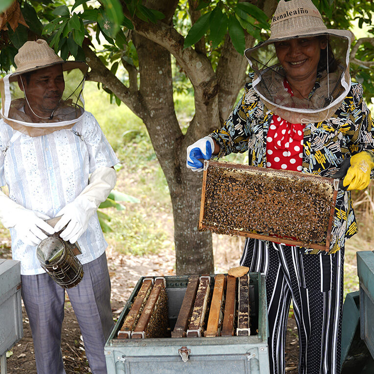Beehives Bring Big Benefits